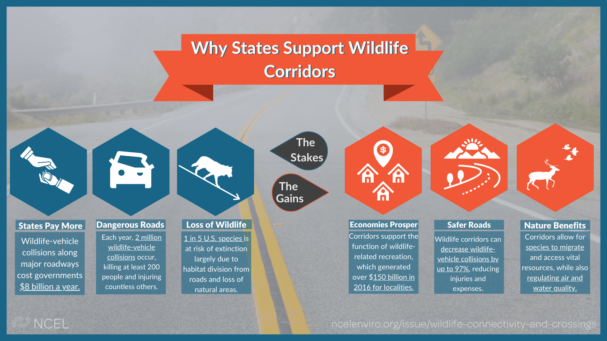 Why States Support Wildlife Corridors | National Caucus of ...