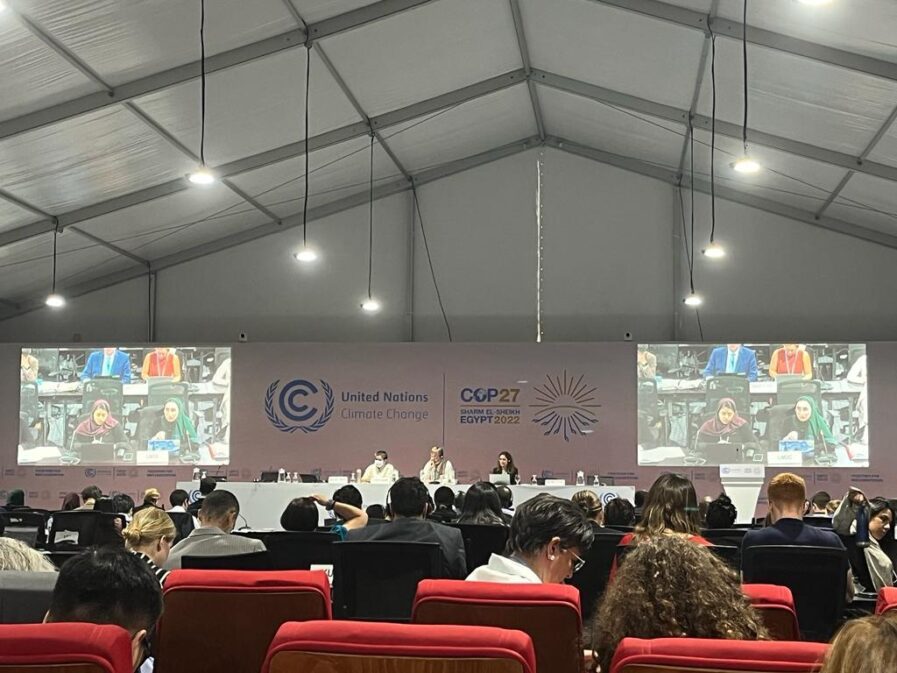 A Daily Look of NCEL at COP27 | National Caucus of Environmental ...