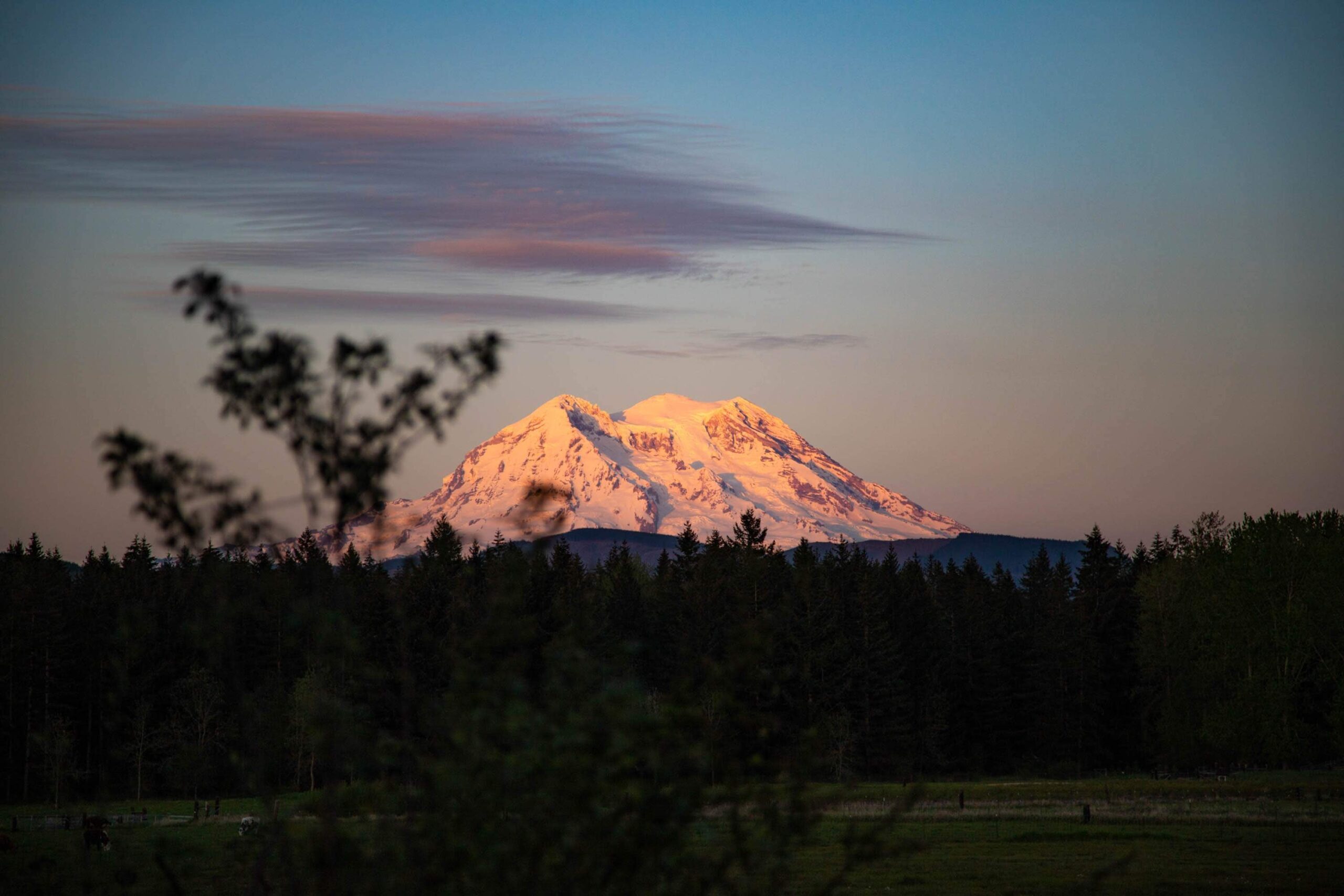 Policy Memo: The Washington Climate Commitment Act | National Caucus of ... Policy Memo: The Washington Climate Commitment Act | National Caucus of ...