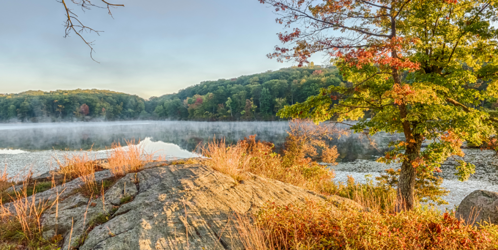 A Natural Legacy For the Future: Overview | National Caucus of ...