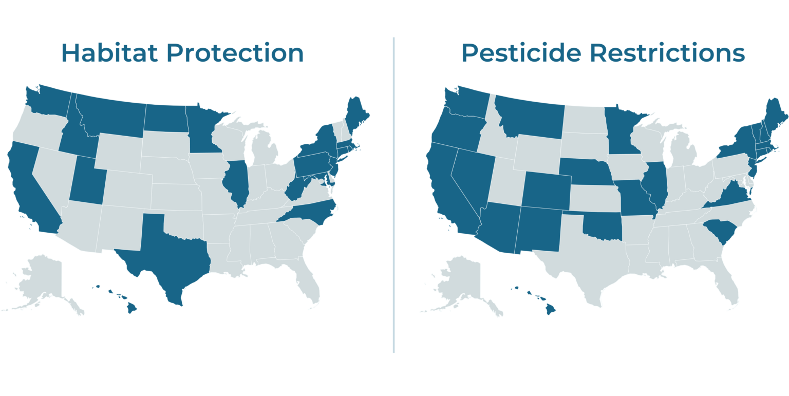 How Are U.S. States Improving Protections for Pollinator Species in ...