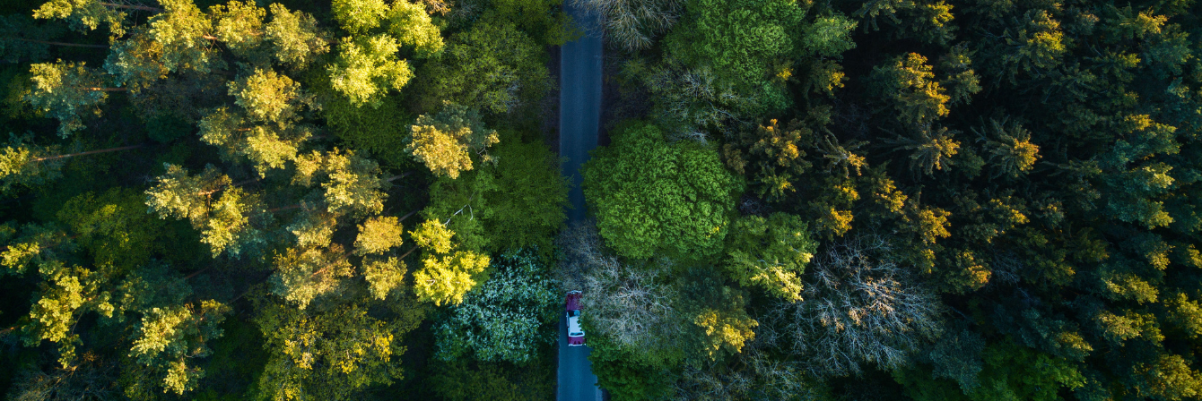 Green Amendment Day — an Annual Call to Honor the Right to a Clean ...