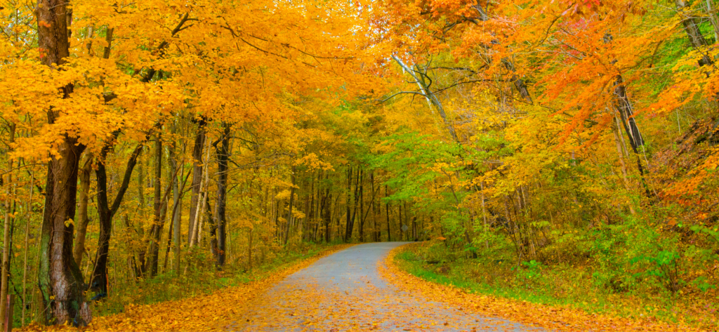 Representative Maureen Bauer, Indiana | National Caucus of ...