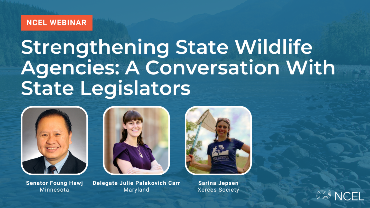 Strengthening State Wildlife Agencies: A Conversation With State ...