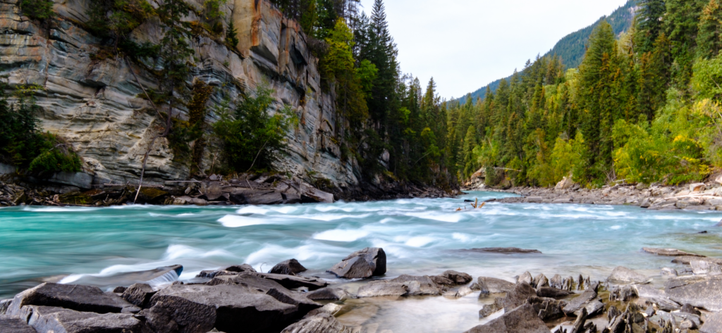 About NCEL | National Caucus of Environmental Legislators