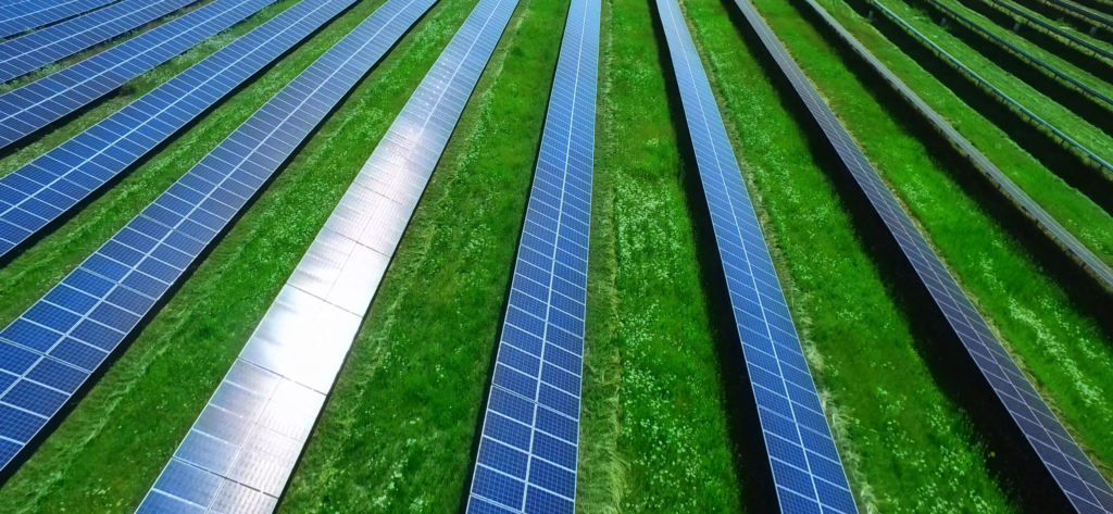 Agrivoltaics Fact Sheet | National Caucus of Environmental Legislators