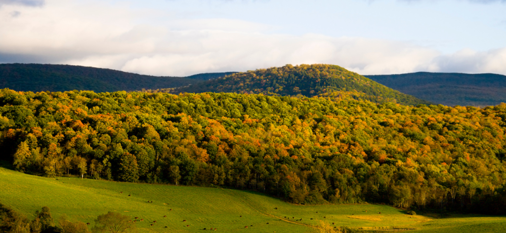 Representative Angelo J. Puppolo, Jr., Massachusetts | National Caucus ...