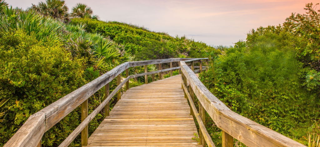Representative Lindsay Cross, Florida | National Caucus of ...