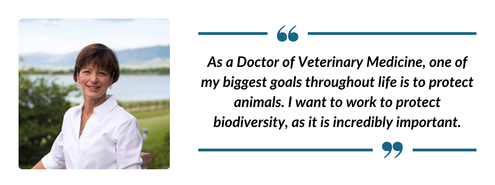 Legislator Spotlight: Representative Karen McCormick | National Caucus ...