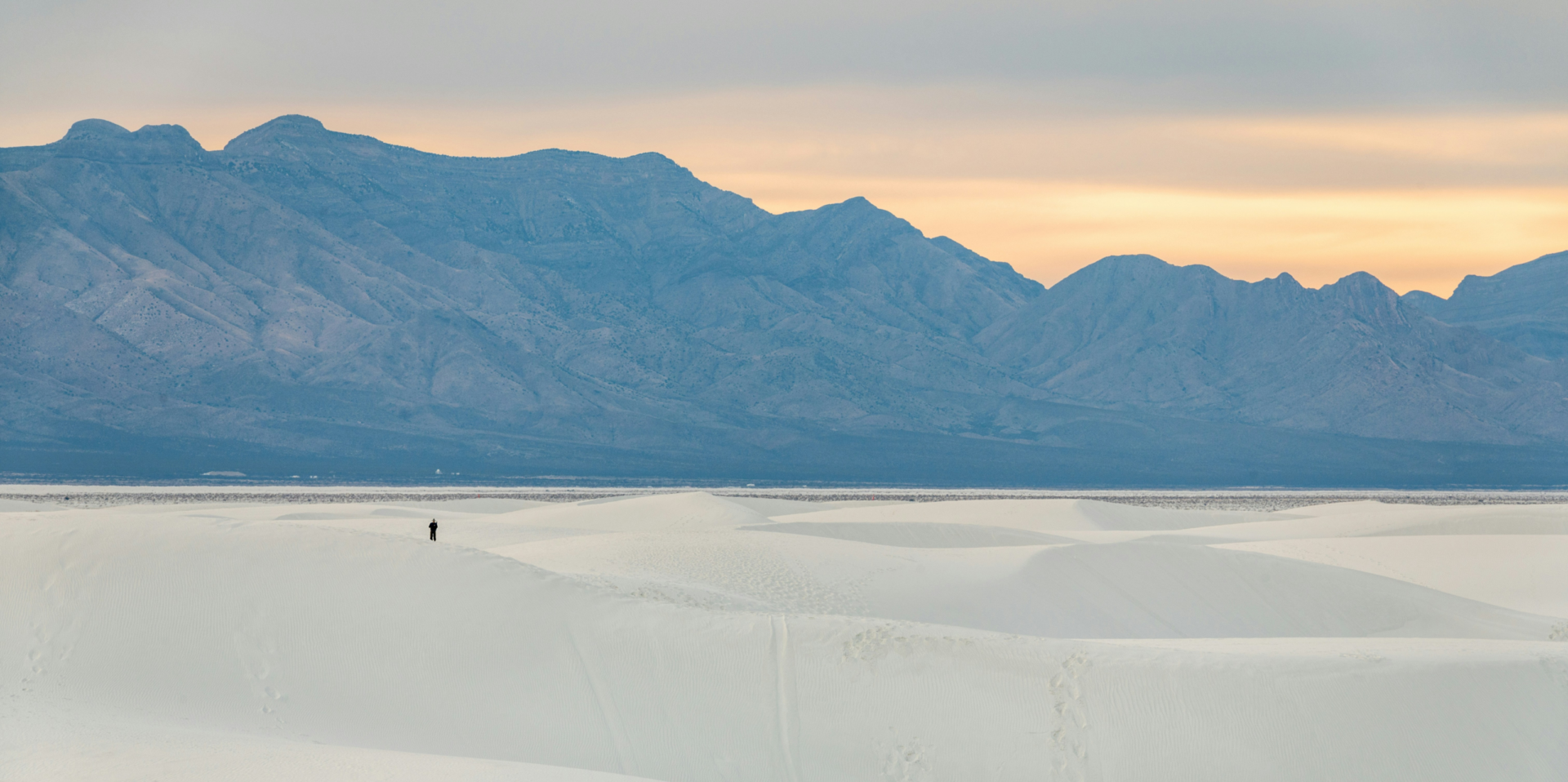 30x30 Midpoint: Are States on Track to Conserve 30% of Land and Waters ...