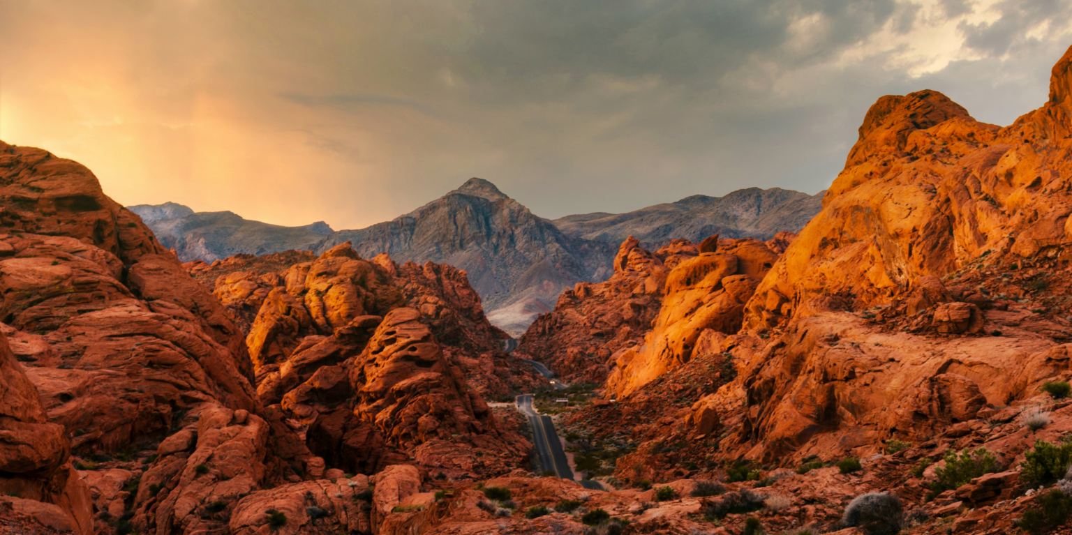 30x30 Midpoint: Are States on Track to Conserve 30% of Land and Waters ...
